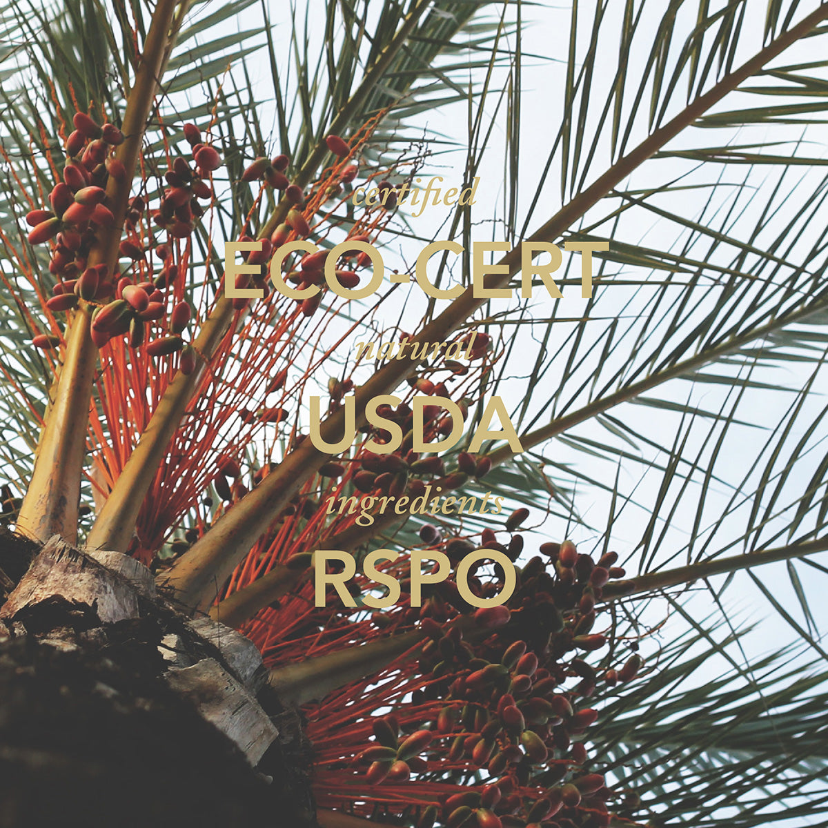 Certified Natural Ingredients – Organics Buddy