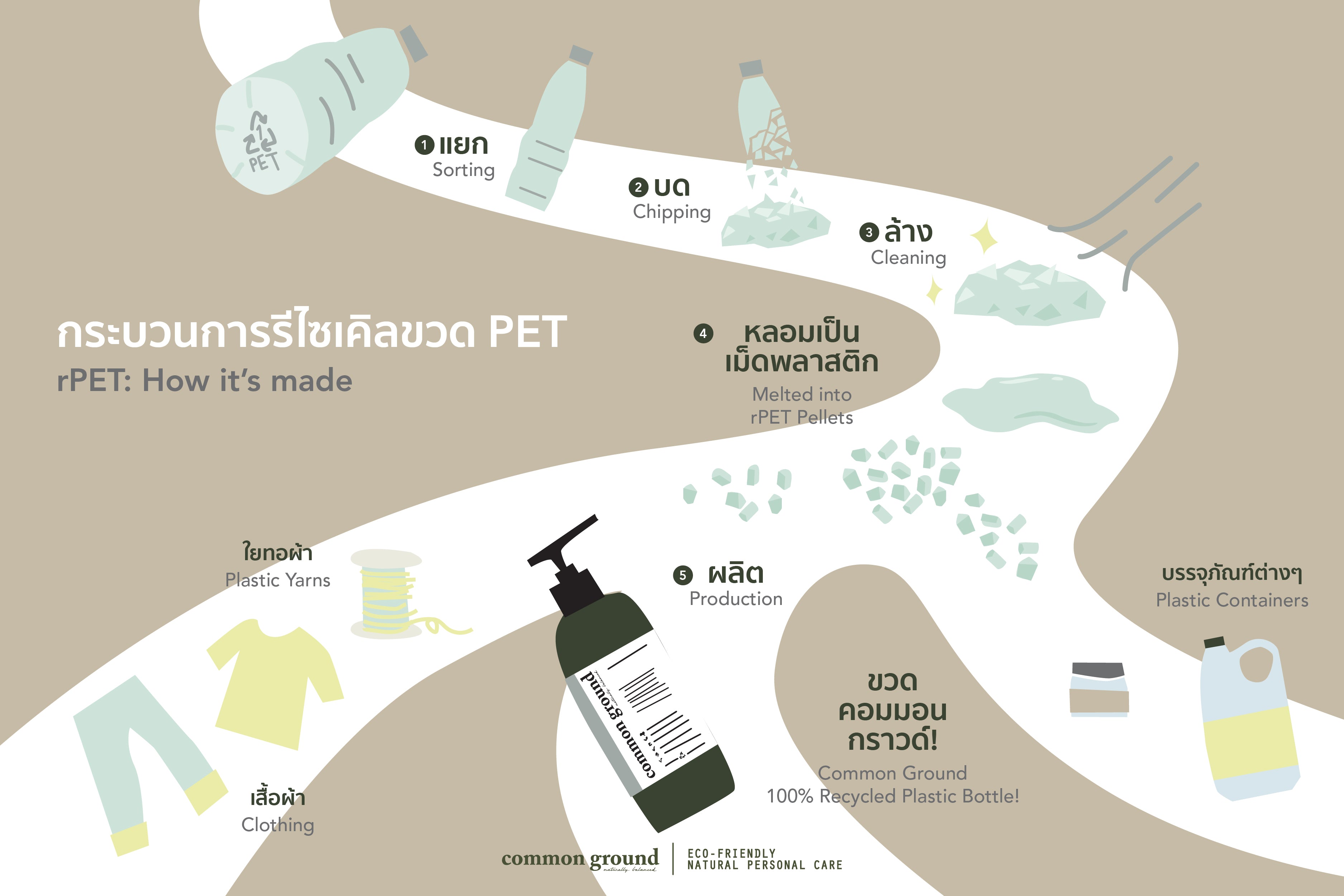 rPET: How's it made – Organics Buddy