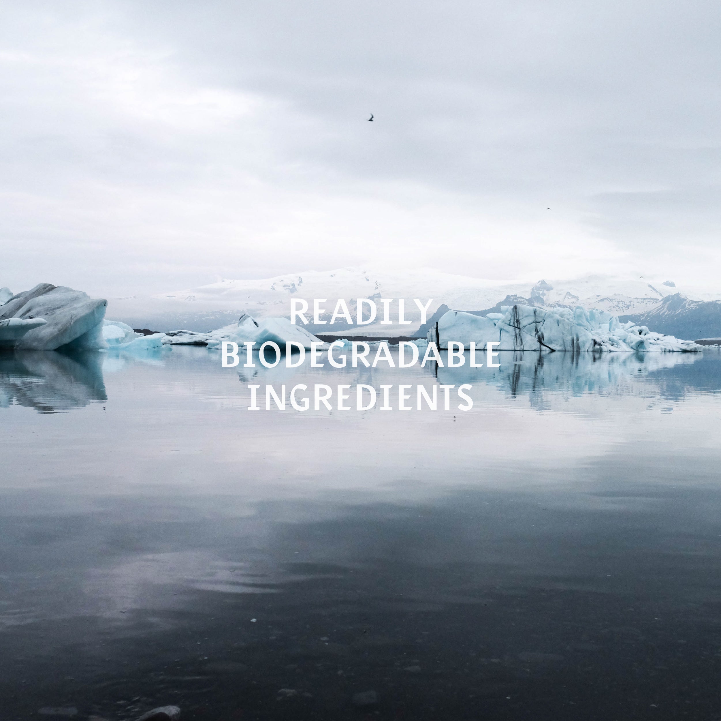 Readily Biodegradable, YES. – Organics Buddy