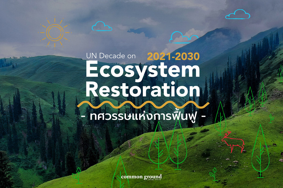 Ecosystem Restoration – Organics Buddy